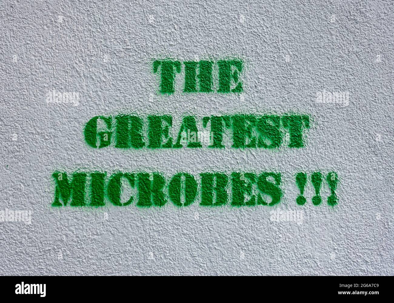 Escherichia Coli Bacteria High Resolution Stock Photography and Images ...