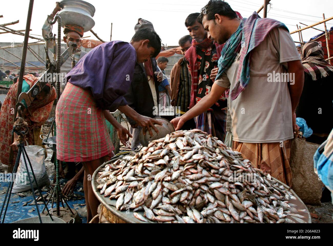 Shawari Ghat, the largest wholesale market of fish in Dhaka, Bangladesh ...