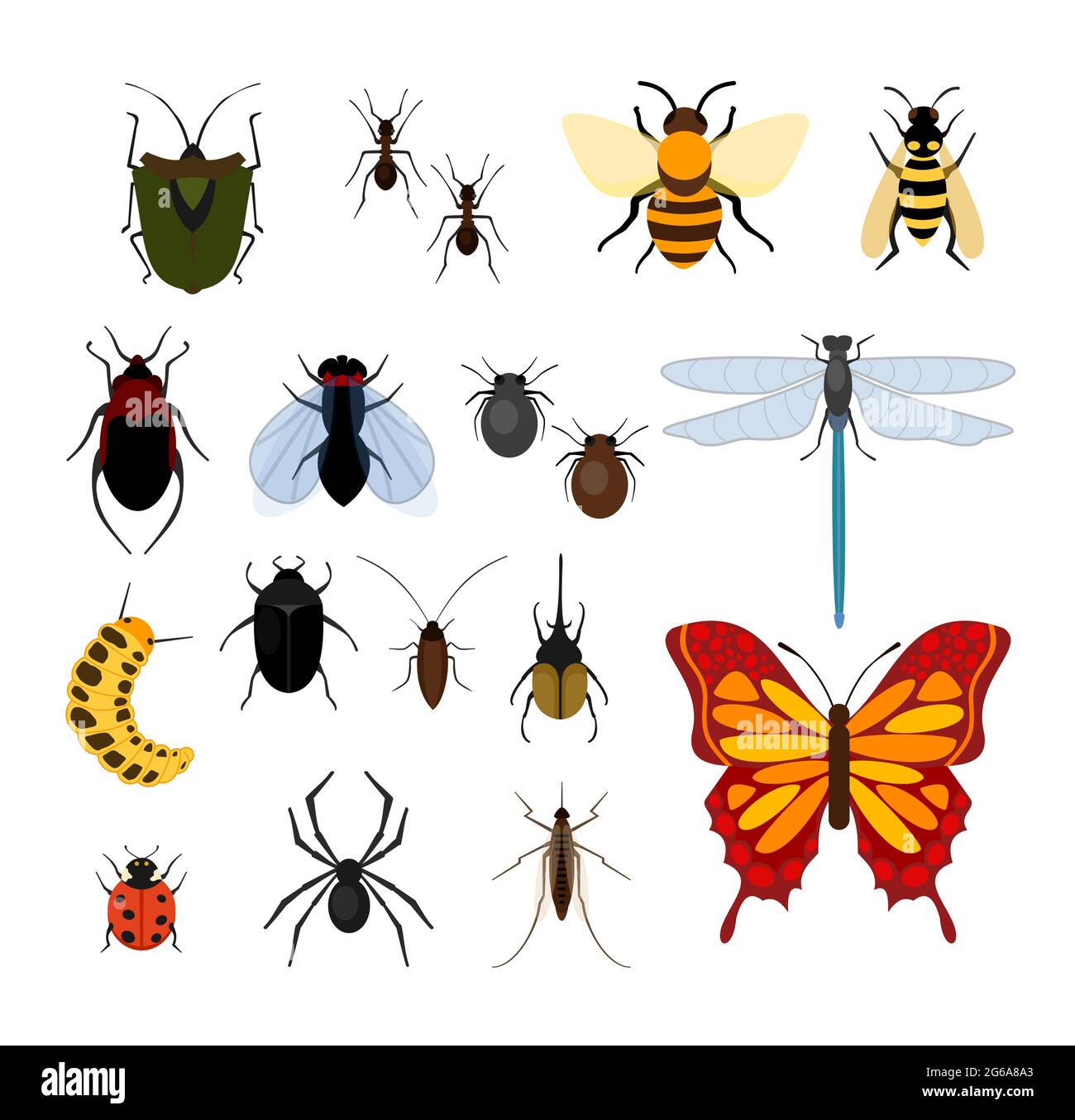Different types of insects Stock Vector Images - Alamy