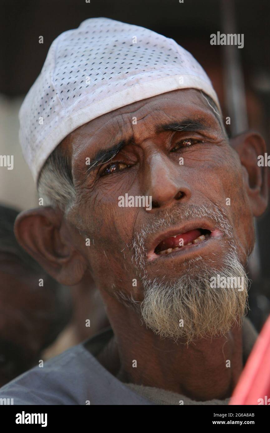 Sidr tree hi-res stock photography and images - Alamy