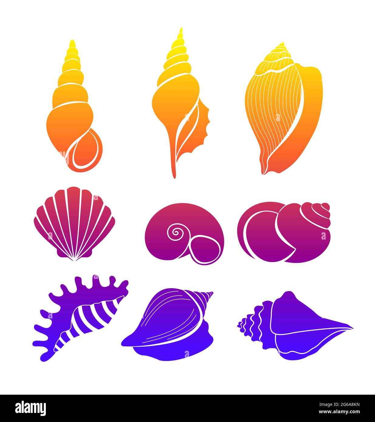 Vector illustration set of seashells, bright colored sea shells ...