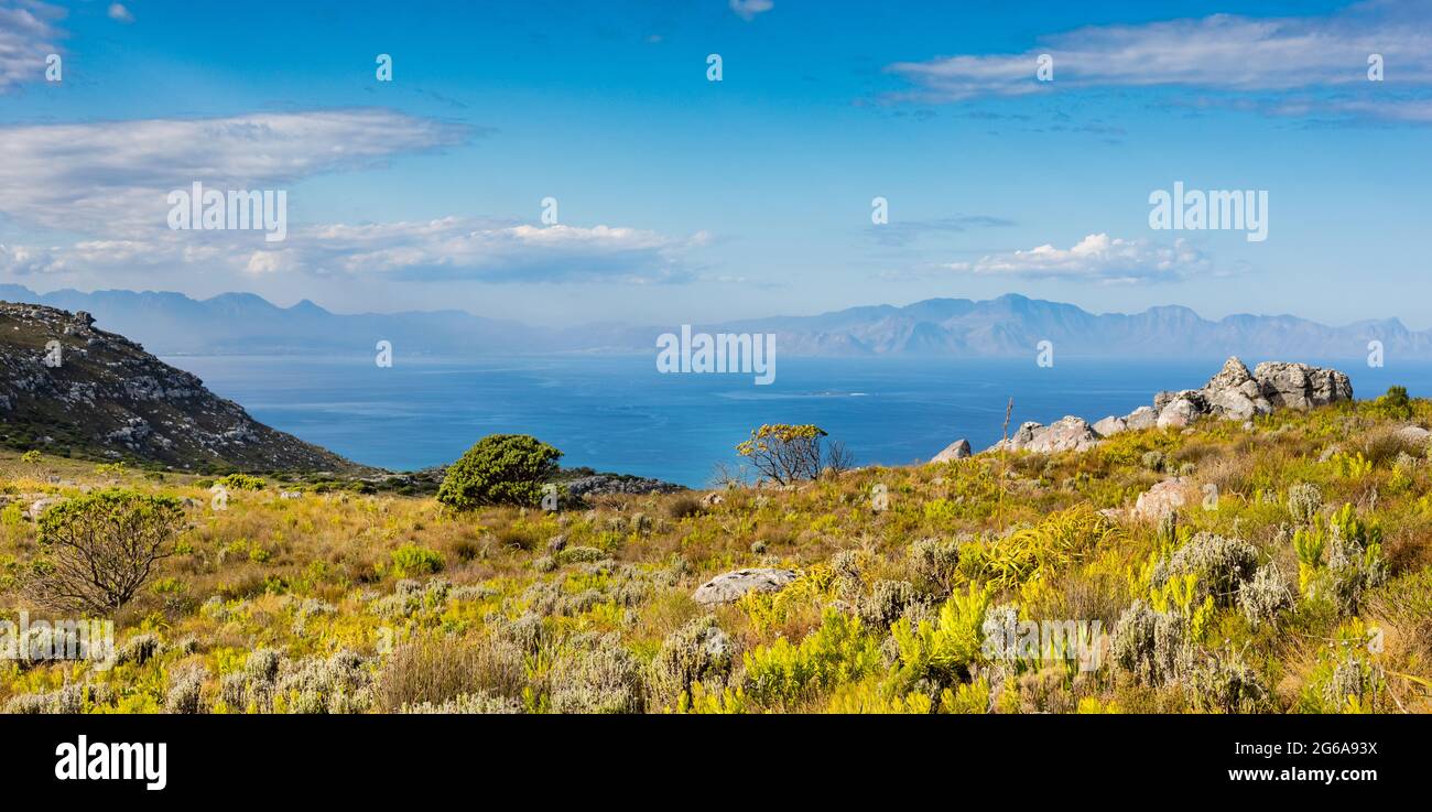 Coastal mountain landscape with fynbos flora in Cape Town South Africa ...