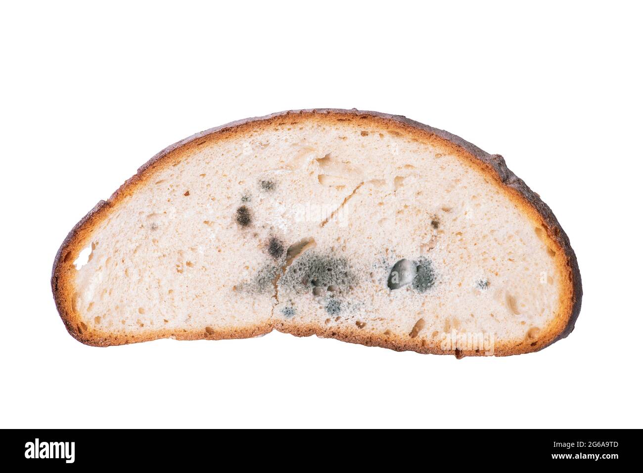 Moldy bread isolated on white background! Stock Photo - Alamy