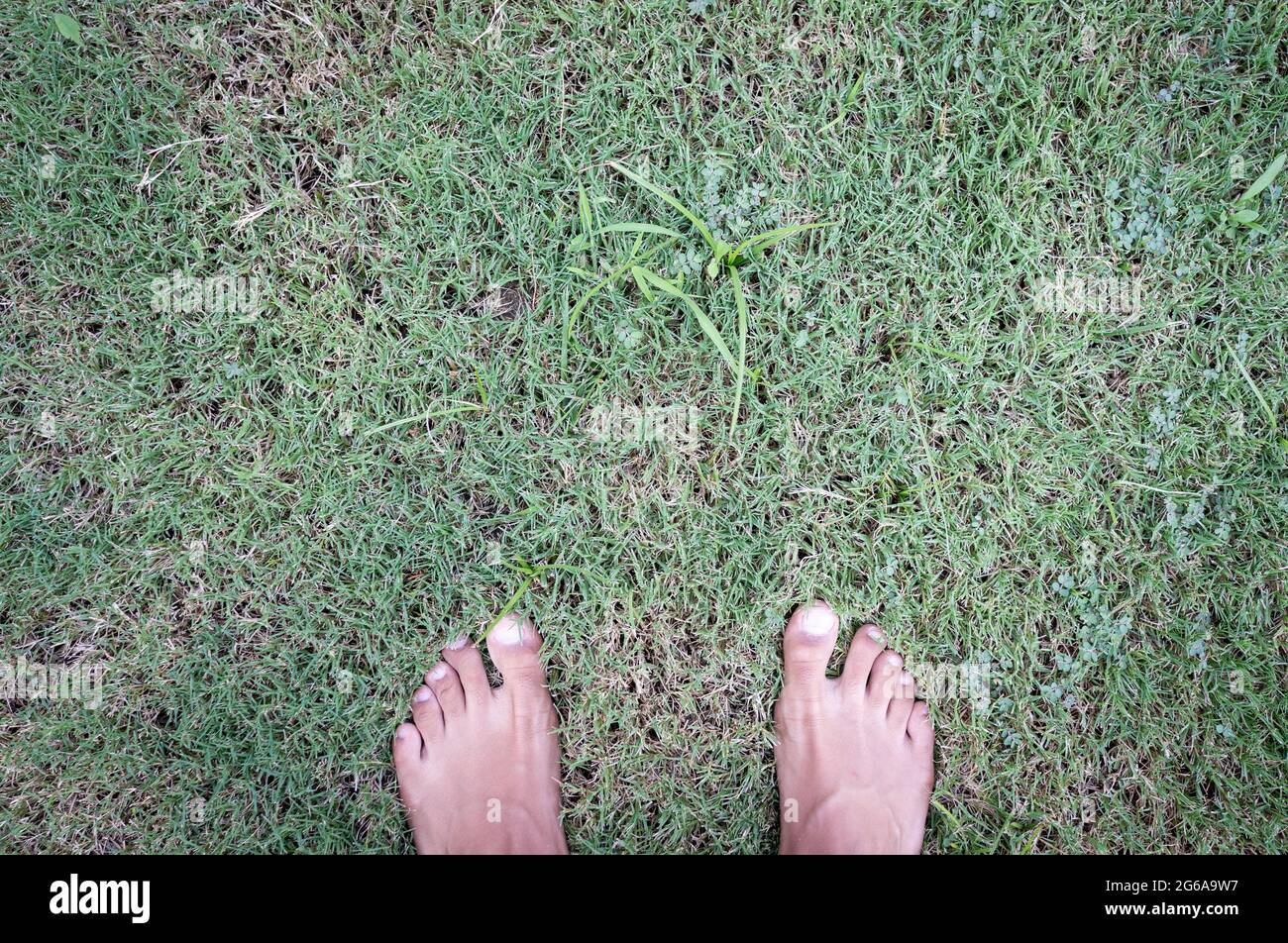 Feet field hi-res stock photography and images - Alamy