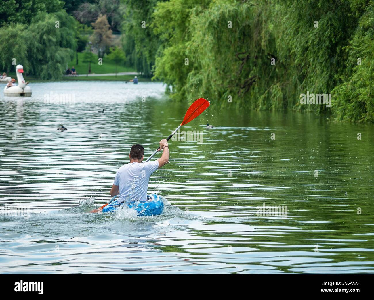 Man in a kayak paddling in Titan Park. Man canoeing on a lake in ...