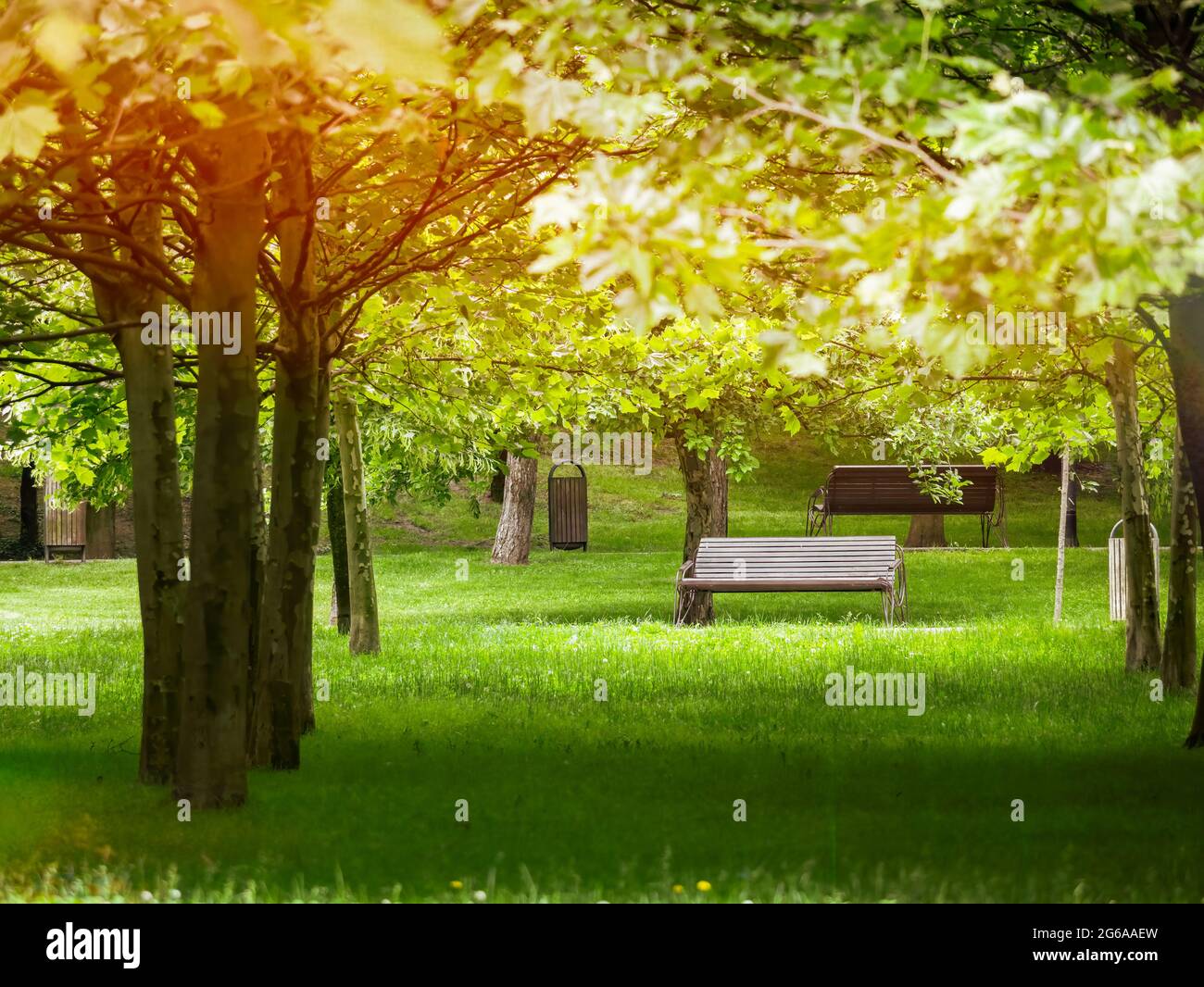 Empty park with fresh green grass, trees and a bench. Alexandru Ioan ...