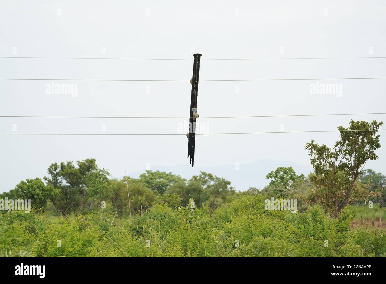 Hanging half electric pole in Africa Stock Photo - Alamy