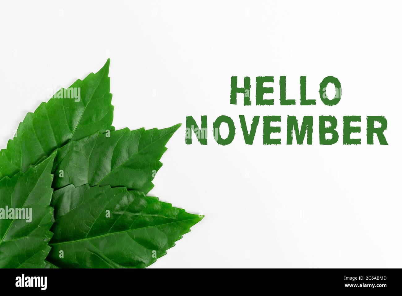 Conceptual caption Hello November. Concept meaning greeting used when ...