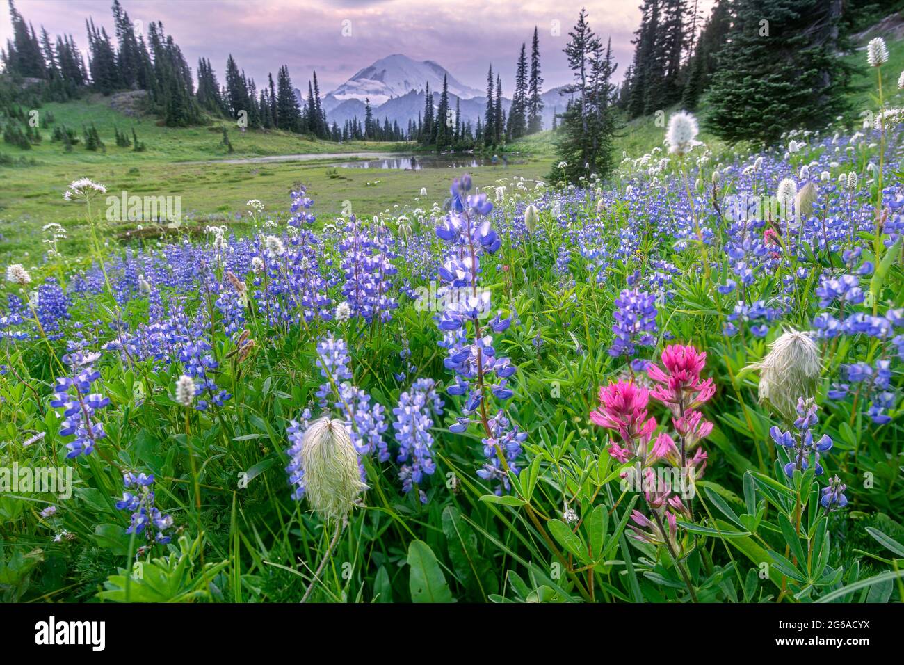 Mount rainier wide hi-res stock photography and images - Alamy