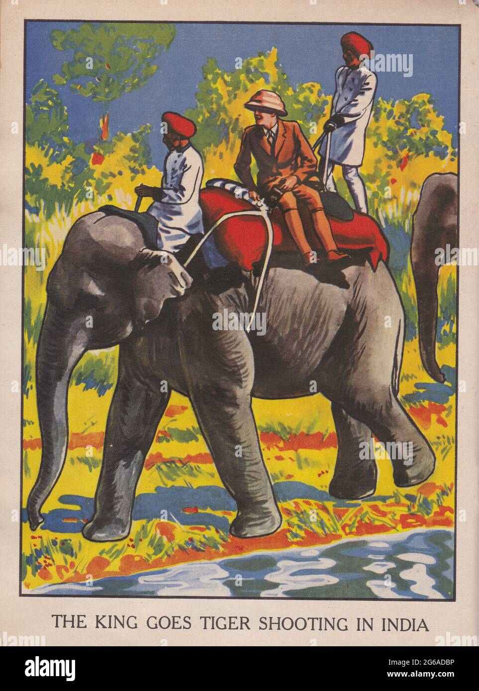 Tiger viii hi-res stock photography and images - Alamy