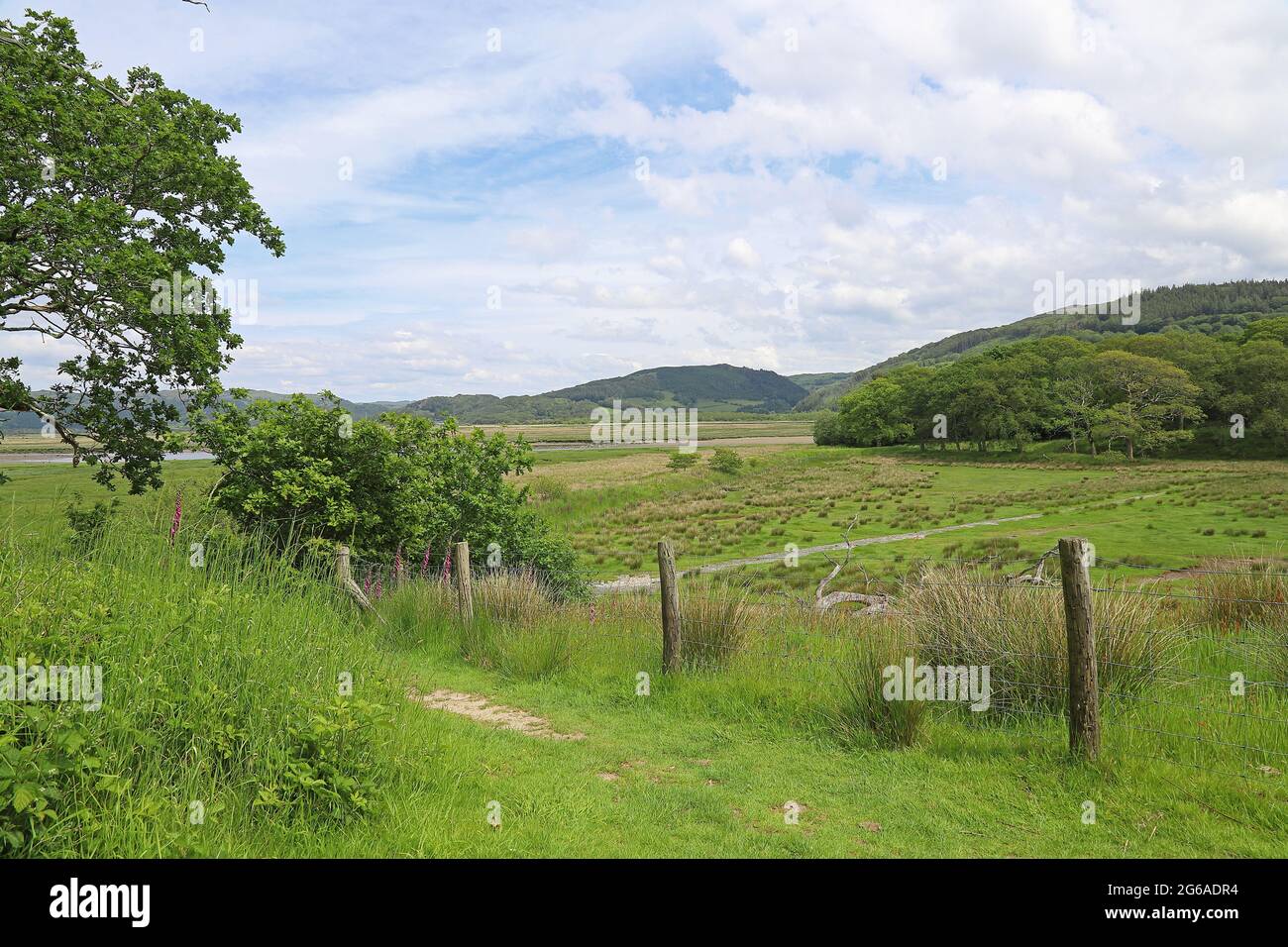 Beautiful landscape welsh river hi-res stock photography and images - Alamy
