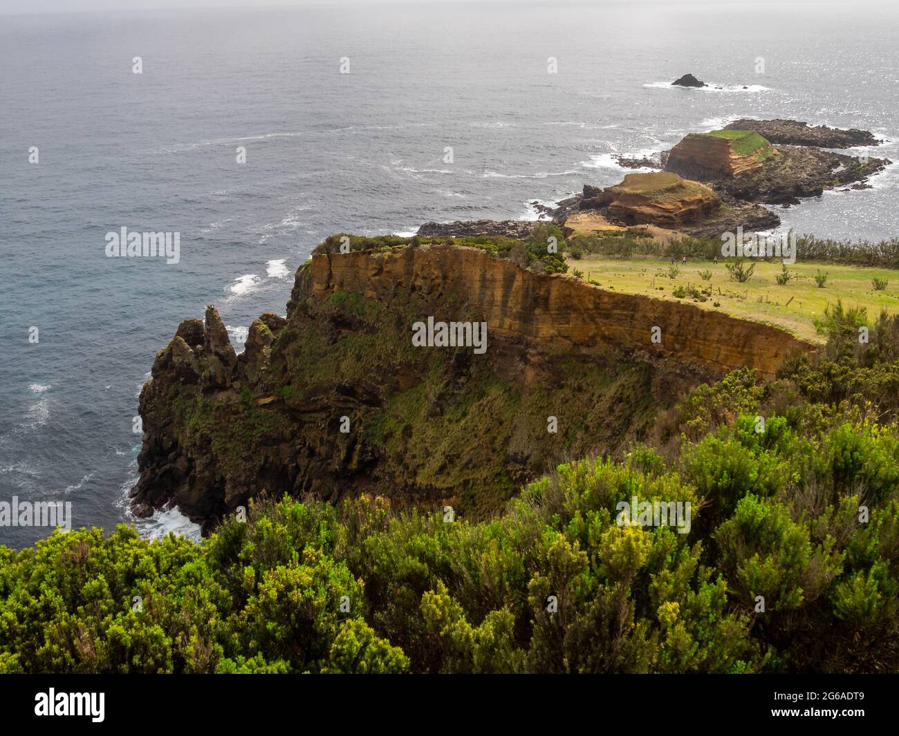 Azorean heather hi-res stock photography and images - Alamy