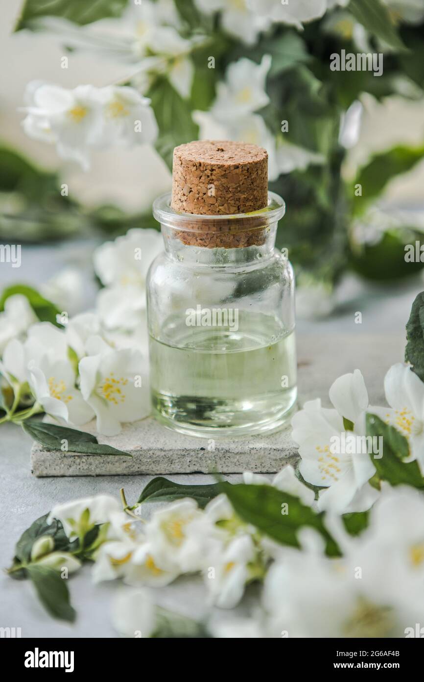 Jasmine essential oil and fresh jasmine blossom. Alternative medicine ...