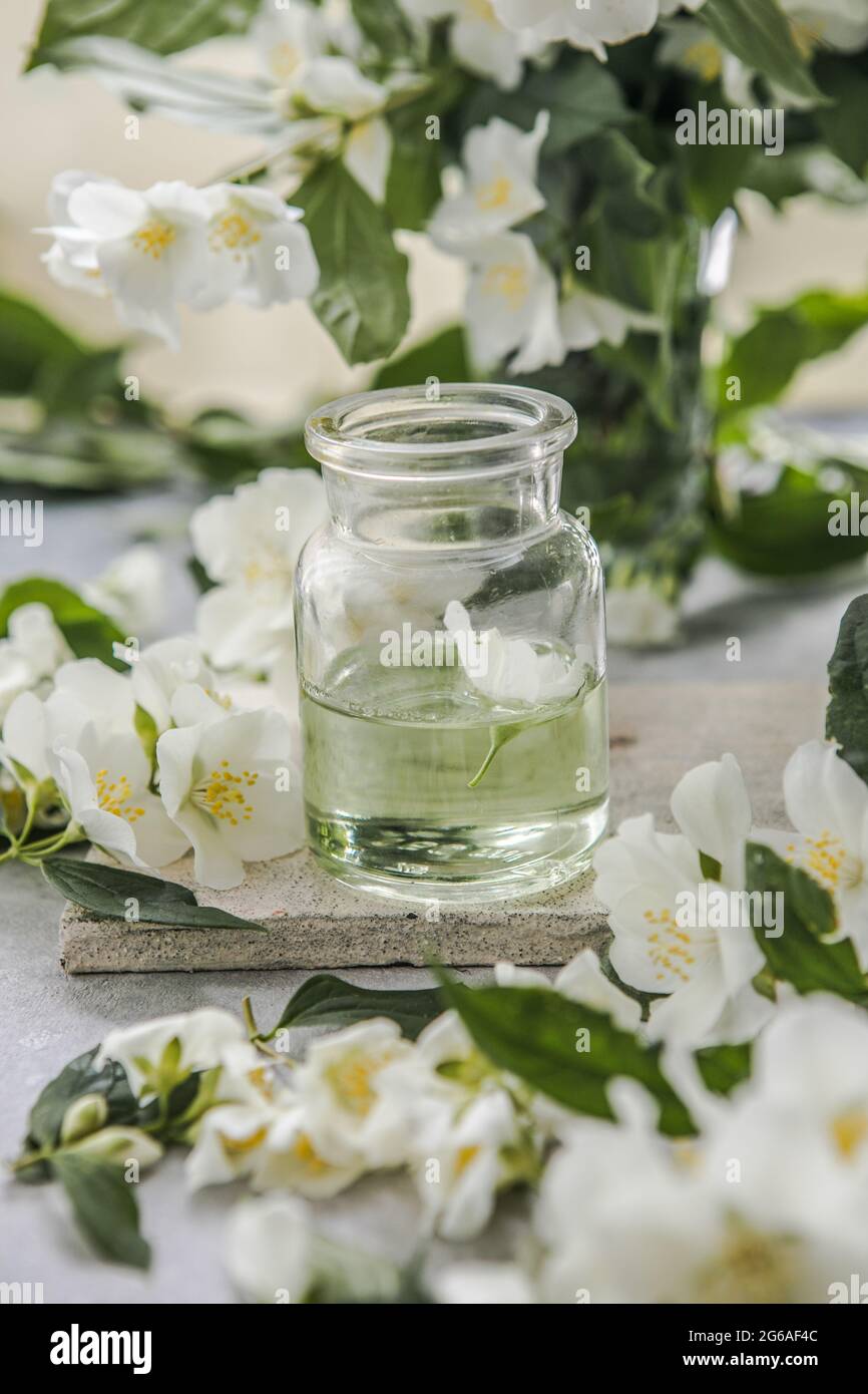 Jasmine essential oil and fresh jasmine blossom. Alternative medicine ...