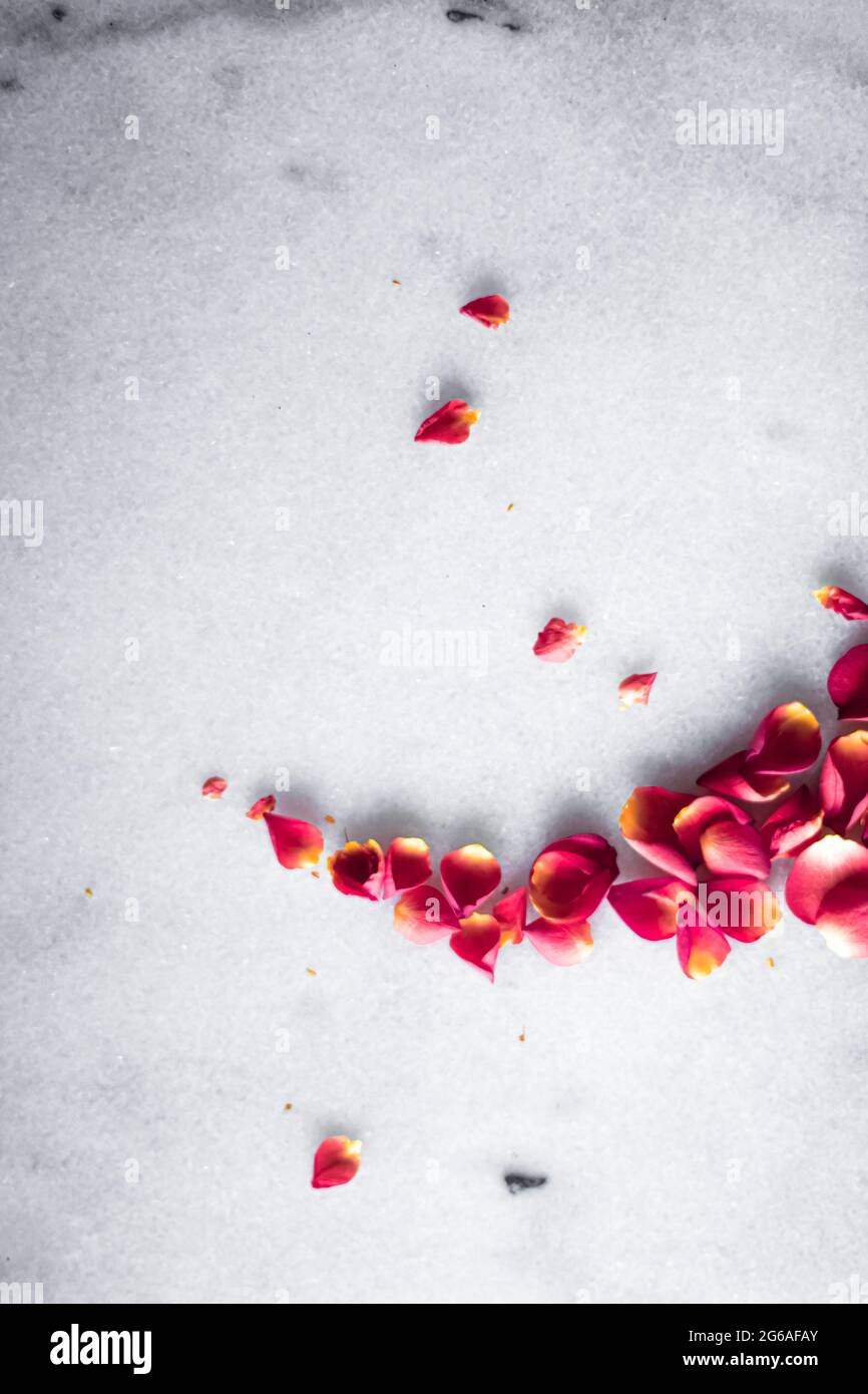 Rose petals on marble background, floral decor and wedding flatlay, holiday greeting card ...