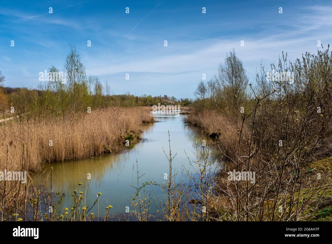 Hiking in frozen swamp on hi-res stock photography and images - Alamy