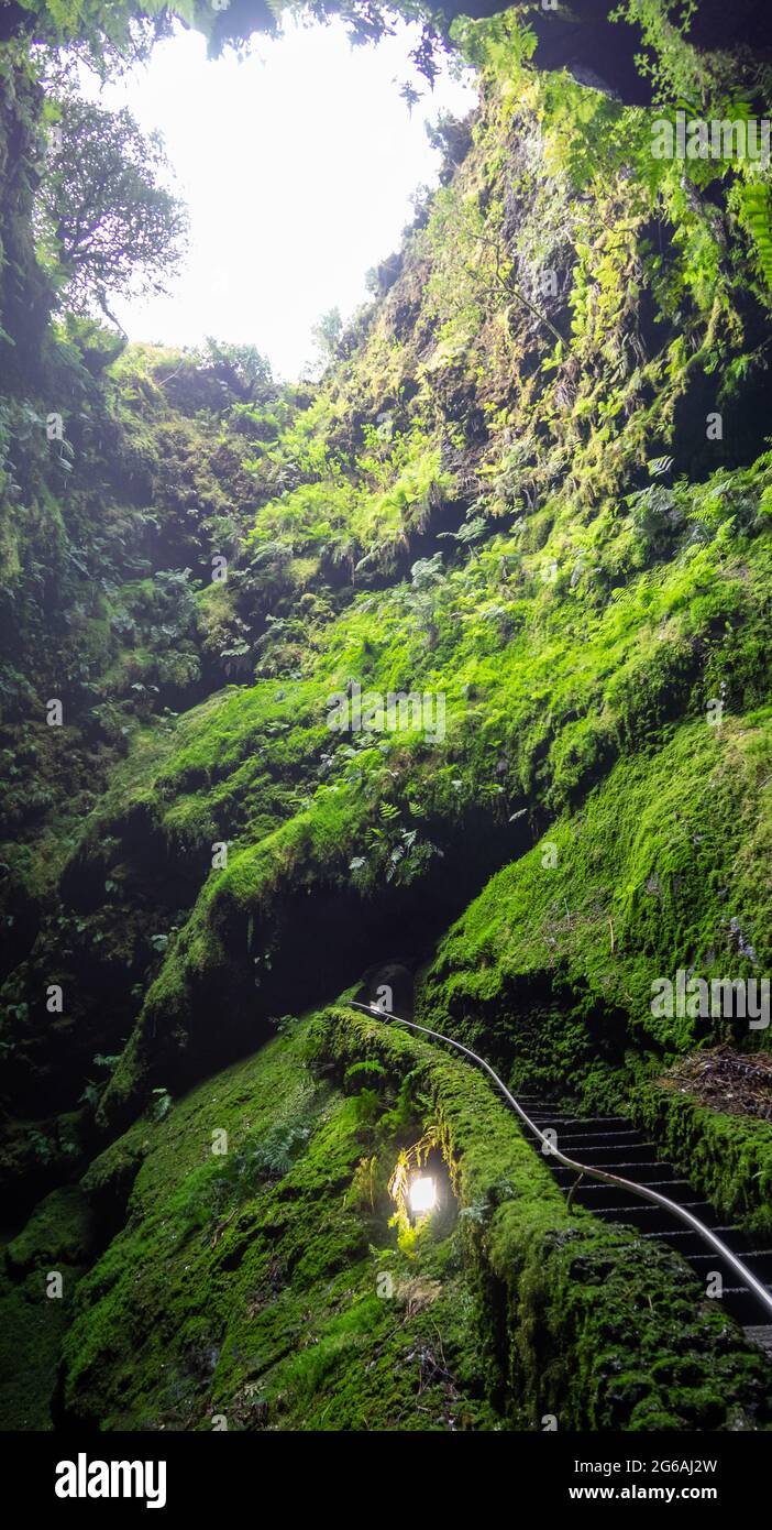Algar do Carvão, Terceira Island Stock Photo - Alamy