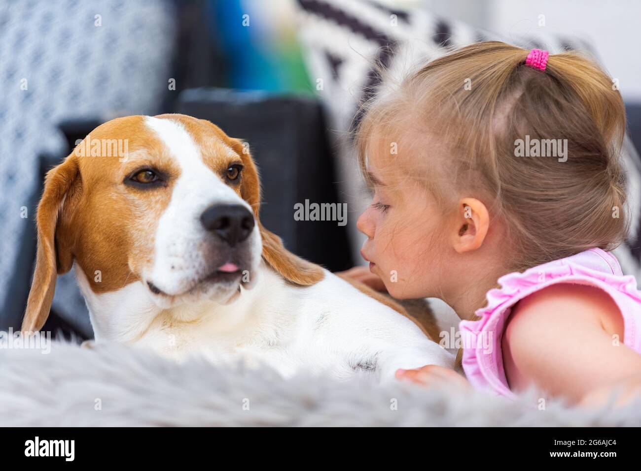 Baby cuddle dog hi-res stock photography and images - Alamy