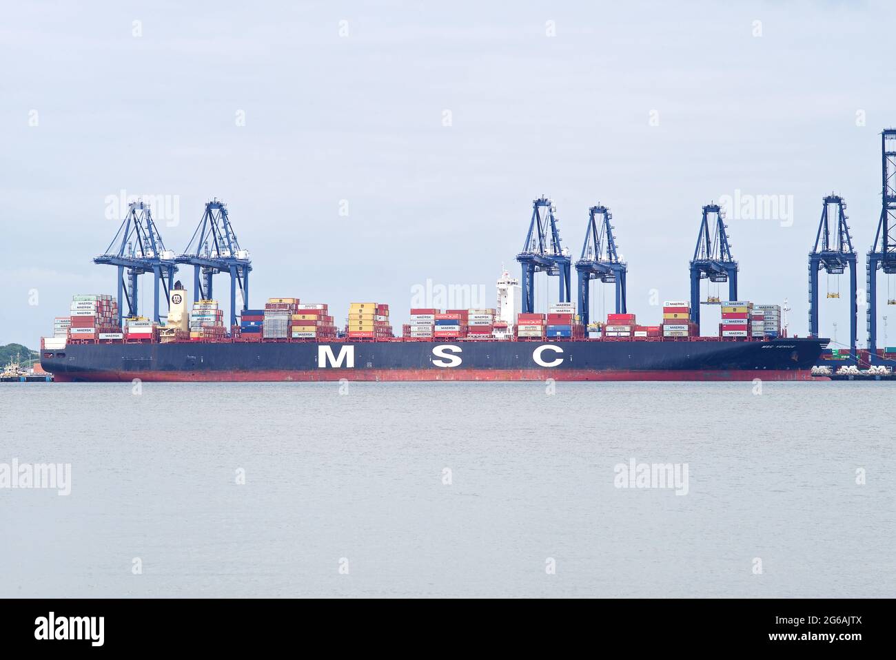 Container ship MSC Venice moored at the Port of Felixstowe, Suffolk, UK ...