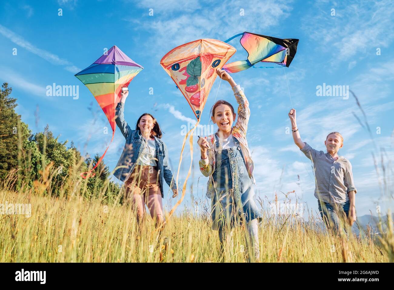 Children flying kites grass hi-res stock photography and images - Alamy