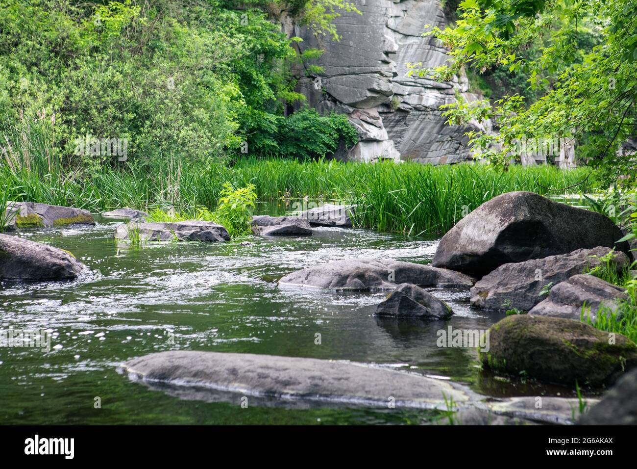 beautiful river landscape summertime copy space wallpaper Stock Photo ...