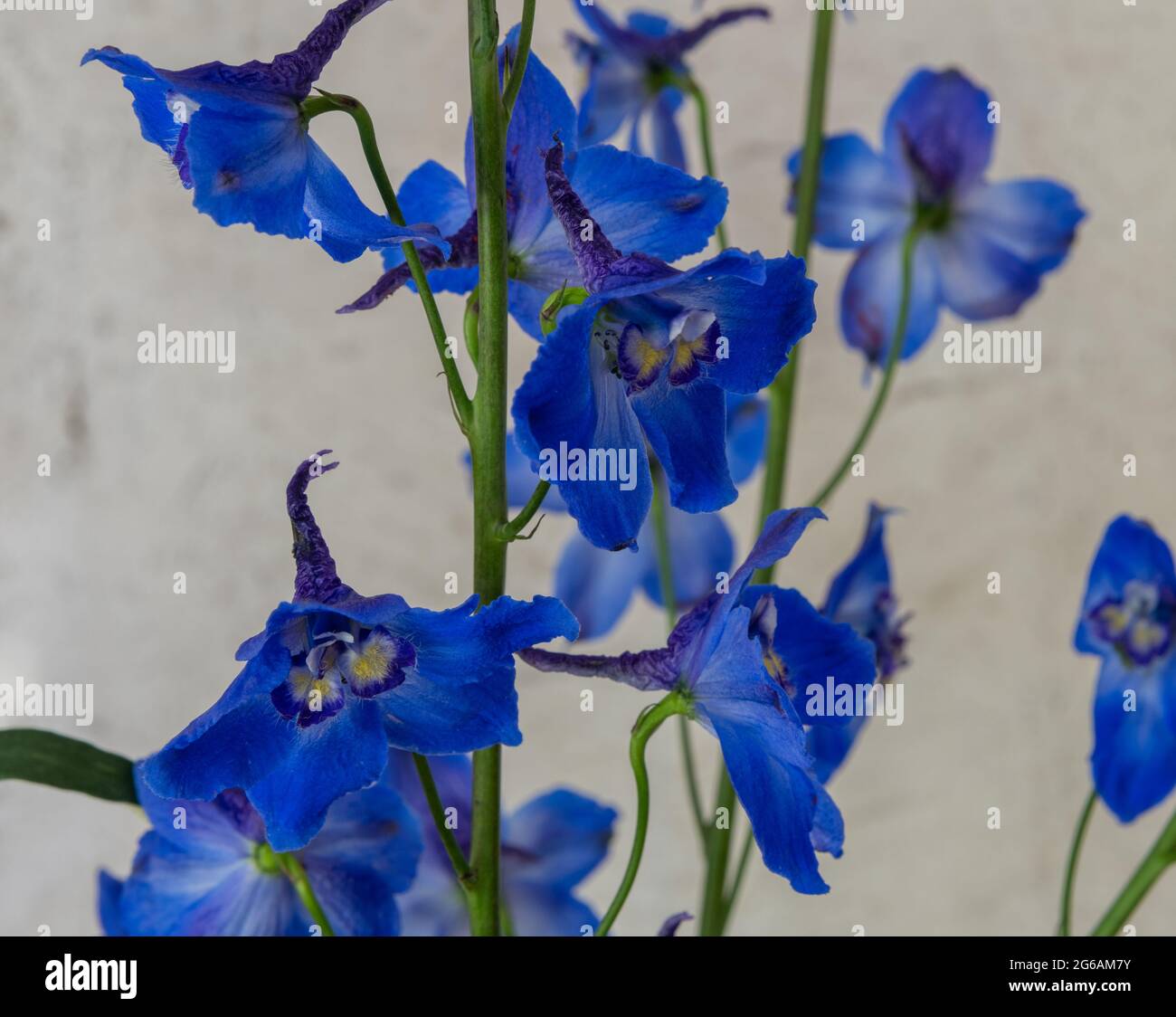 Volken hi-res stock photography and images - Alamy