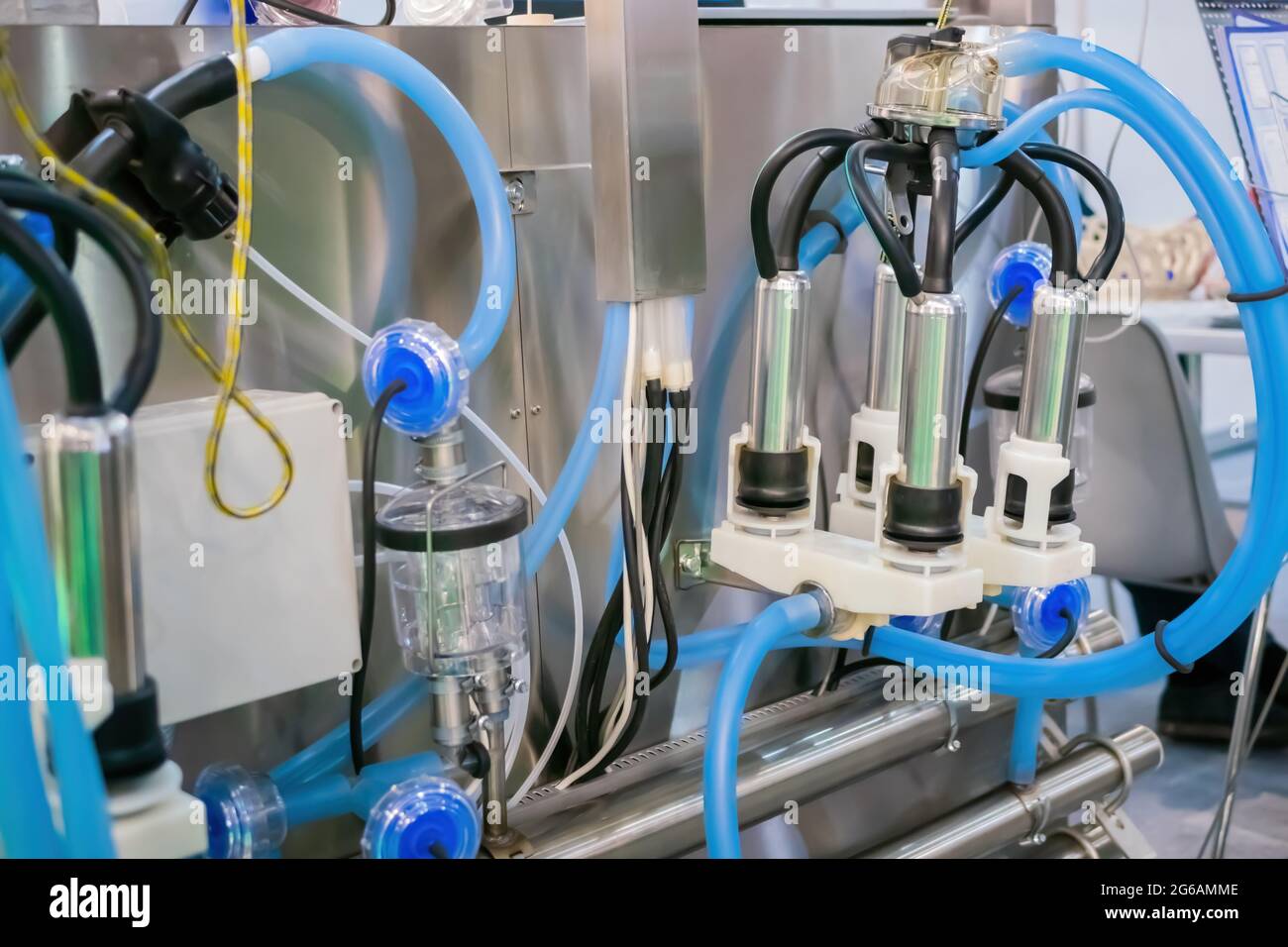 Teat cups of automated cow milking suction machine Stock Photo - Alamy