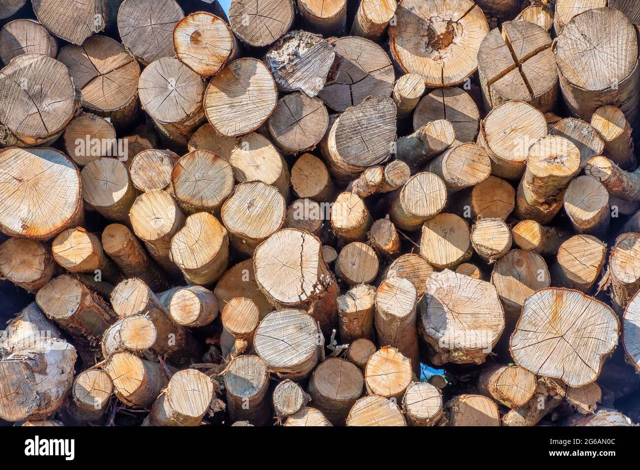 Logs view hi-res stock photography and images - Alamy