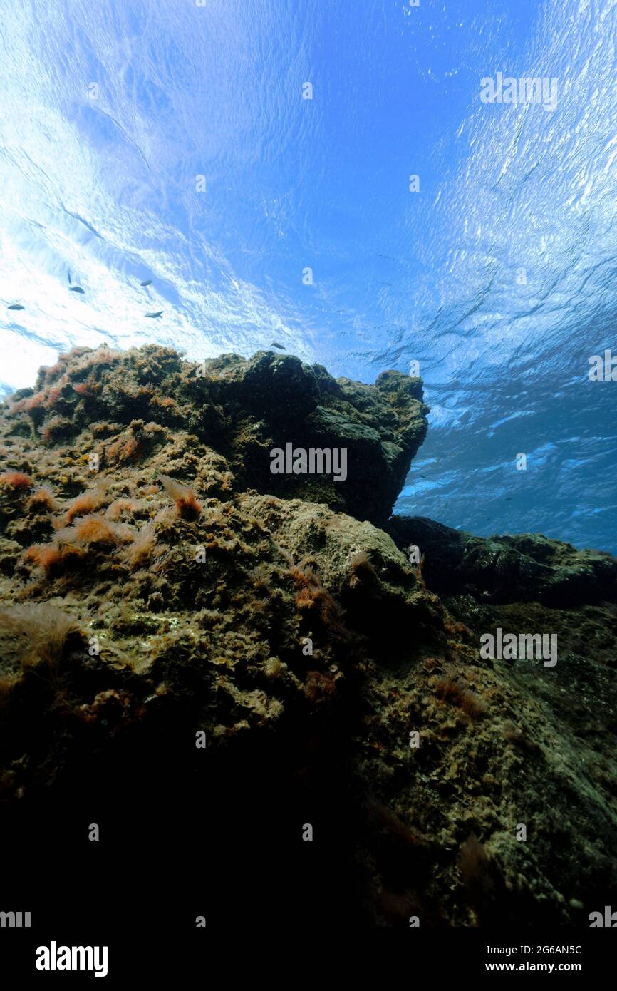 Underwater ocean scenery hi-res stock photography and images - Alamy