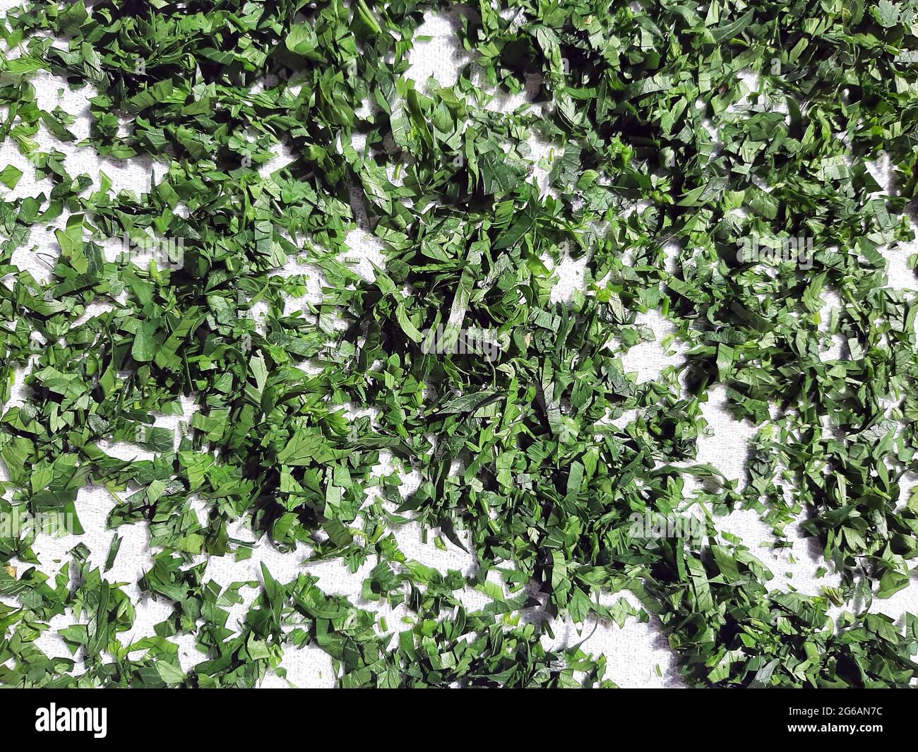 Chopped Parsley. Parsley as a food igredient. Cutted Parsley Stock ...