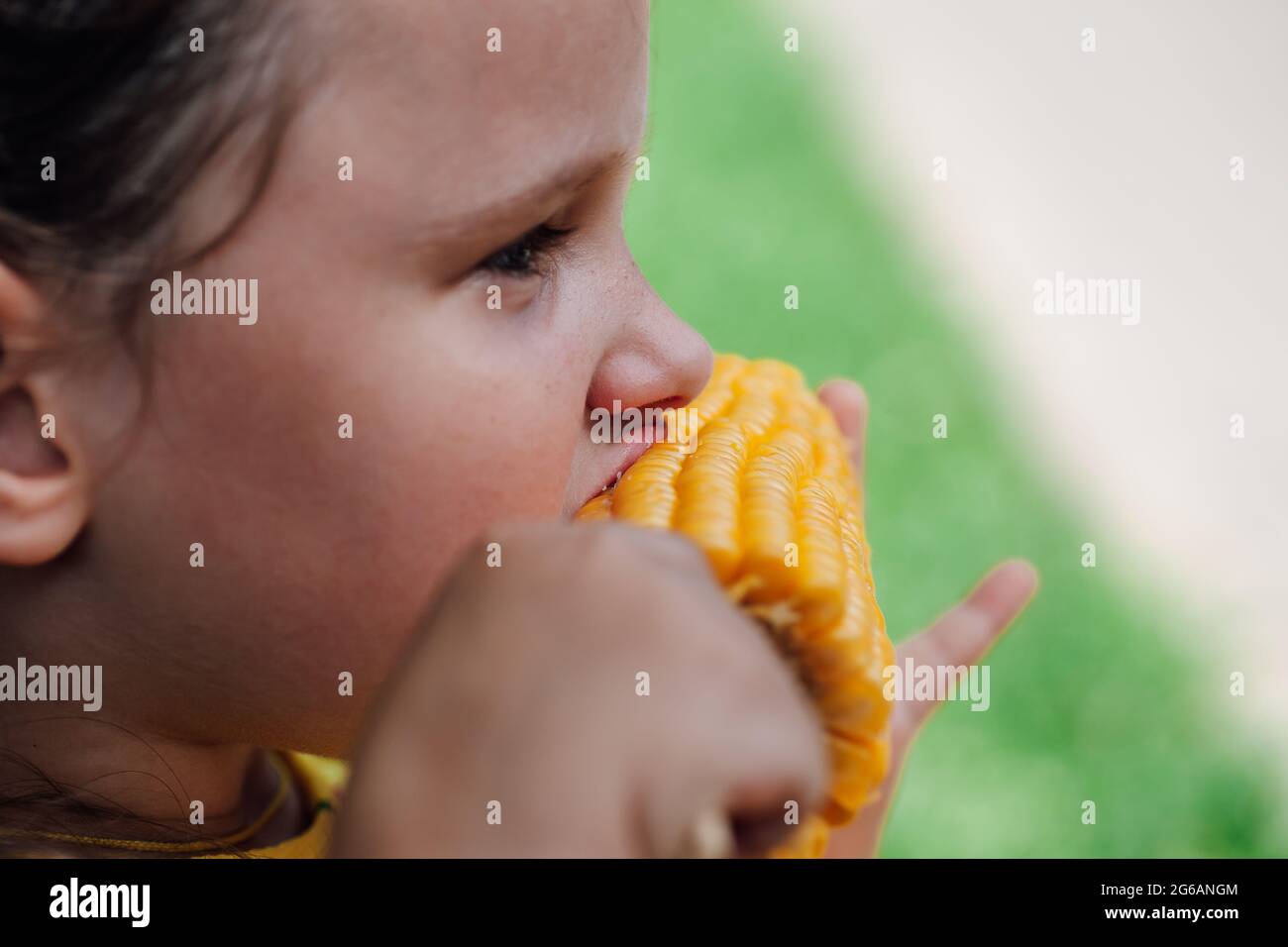 Close-up portrait in profile of a child eating delicious sweet corn ...