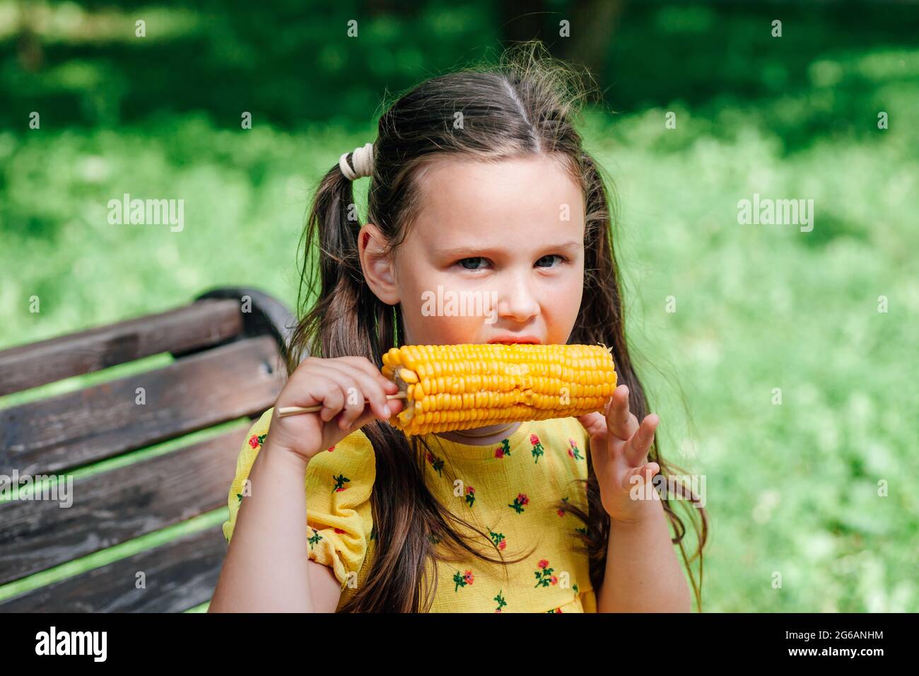 A child is an ear of corn. Yellow corn and a child in a yellow dress in ...