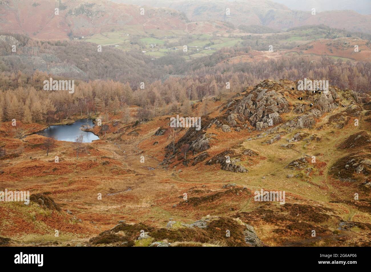 Little Langdale from Holme Fell, Cumbria, UK Stock Photo - Alamy