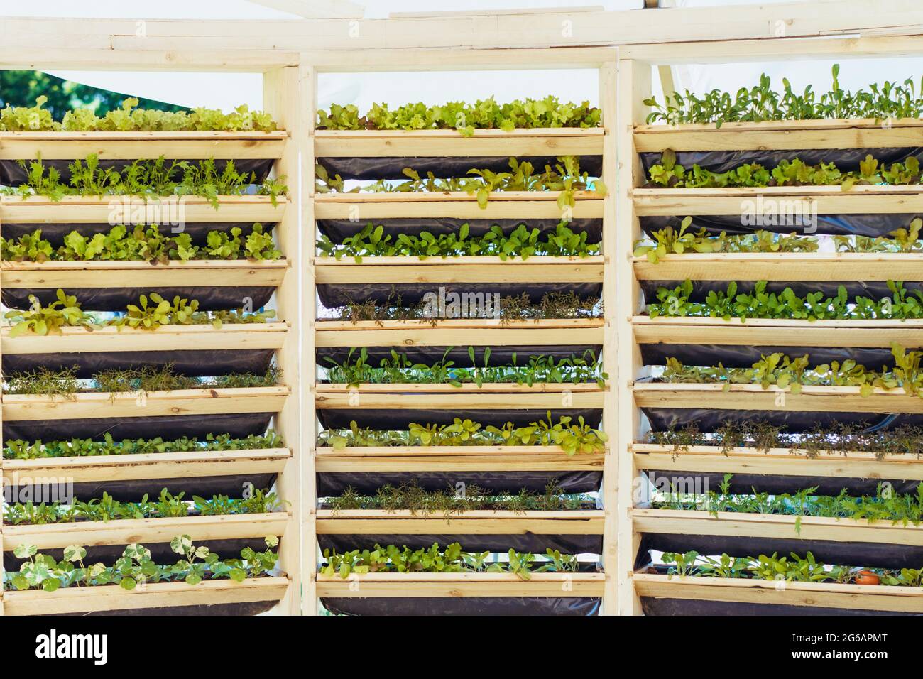 Wooden system of vertical urban farming and gardening technology ...