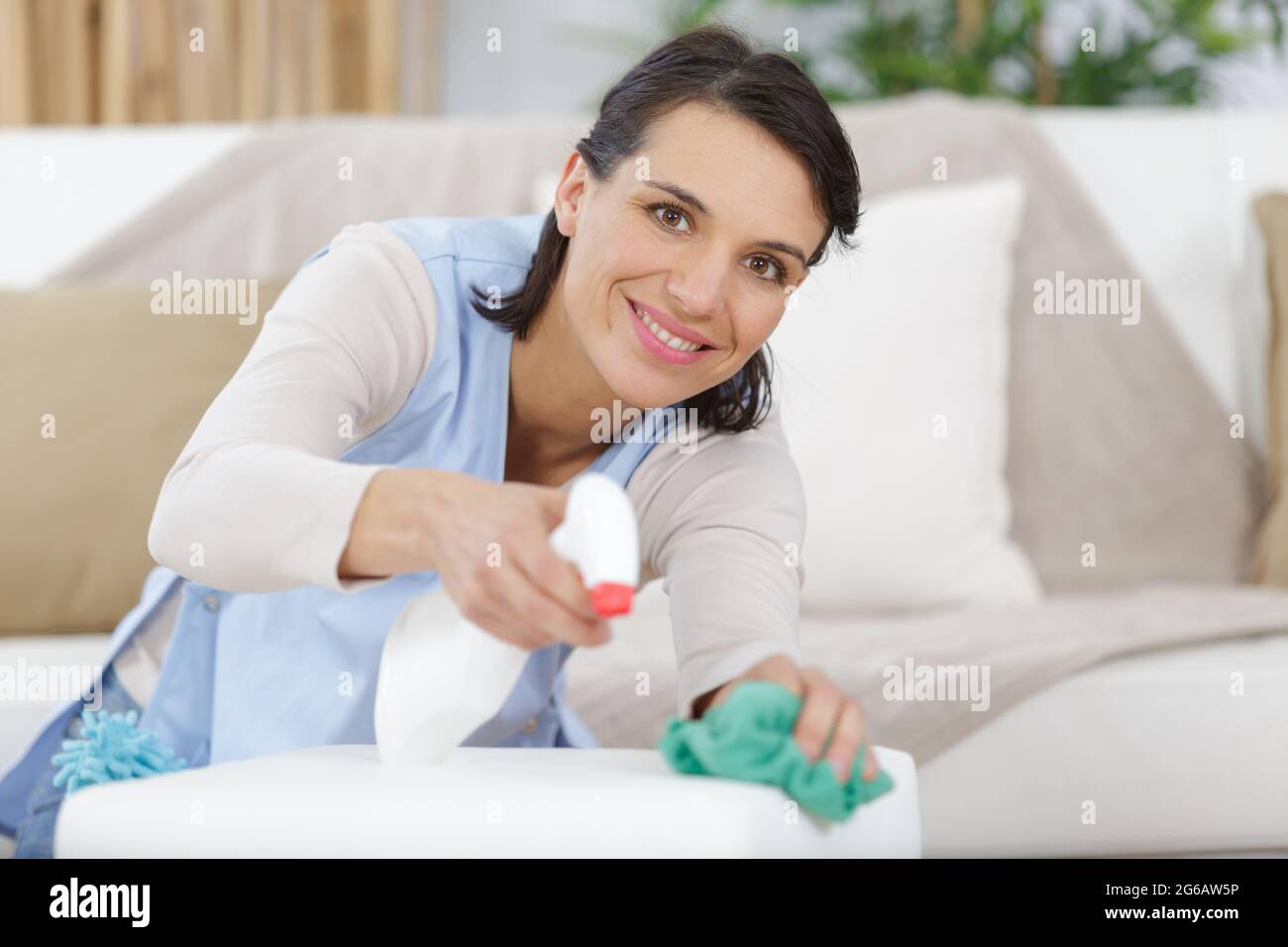 beautiful attractive maid woman smile and holding cleaner spray Stock ...