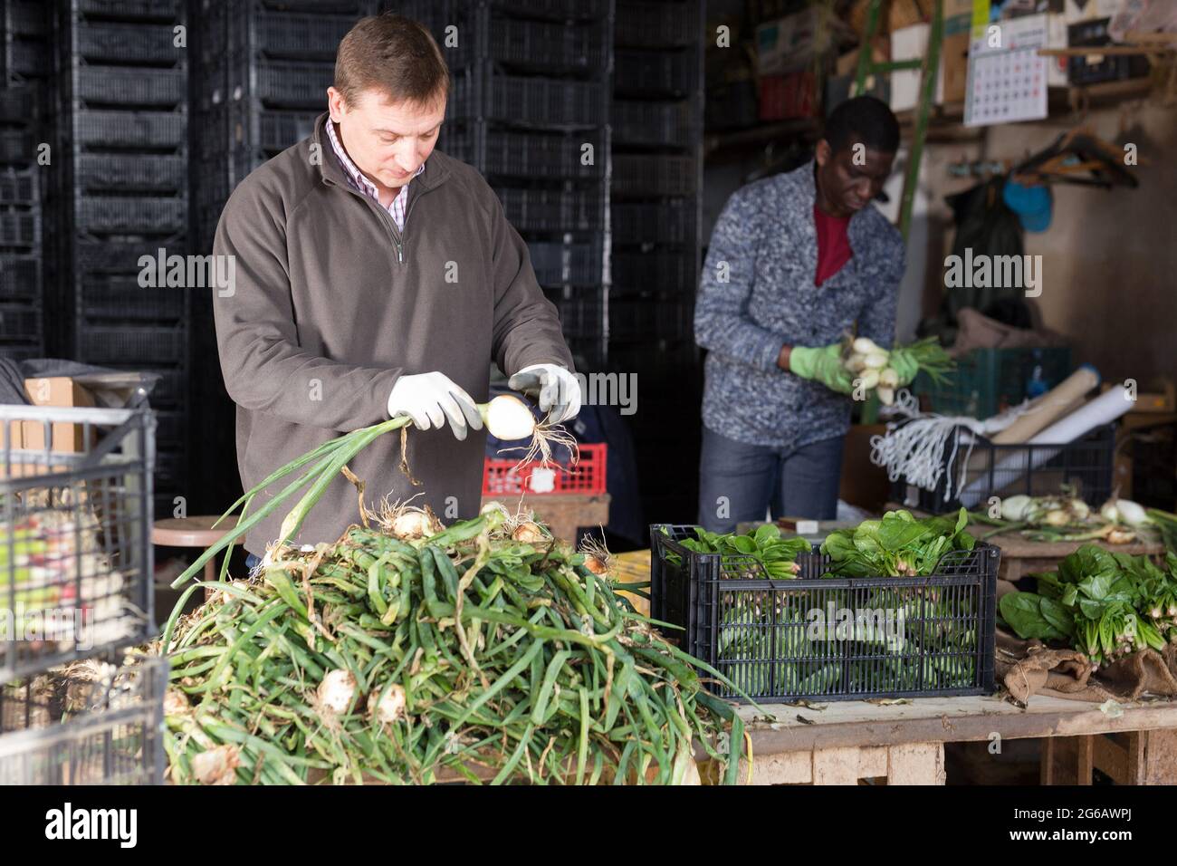 Two farm workers afro hi-res stock photography and images - Alamy