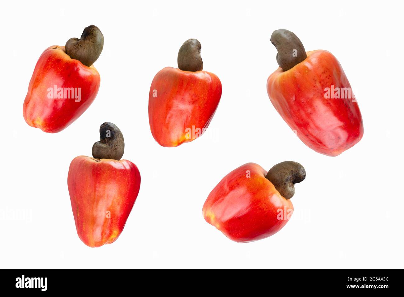 Fresh ripe cashew fruits isolated on white background Stock Photo - Alamy