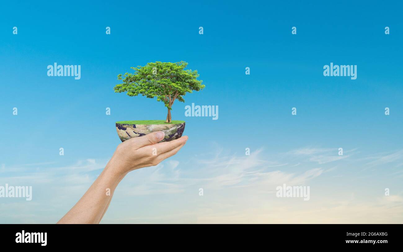 Hand holding tree on sky nature background. Eco earth day concept Stock ...