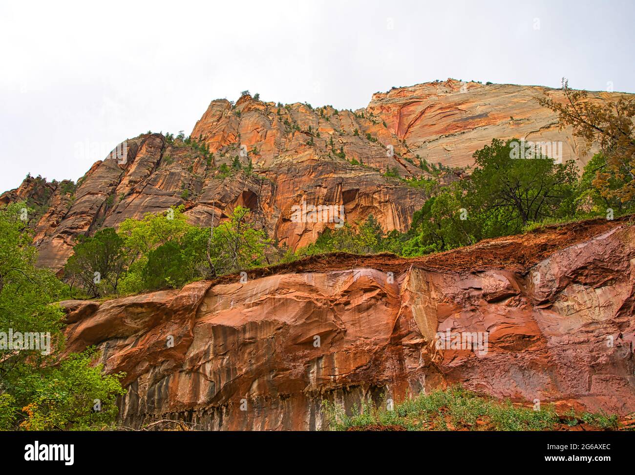 Zion National Park includes mountains, rivers, canyons, and natural ...
