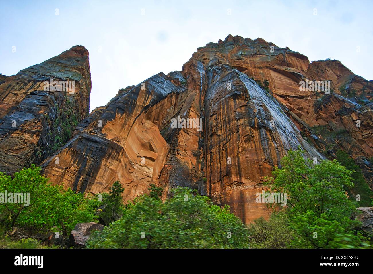 Zion National Park includes mountains, rivers, canyons, and natural ...