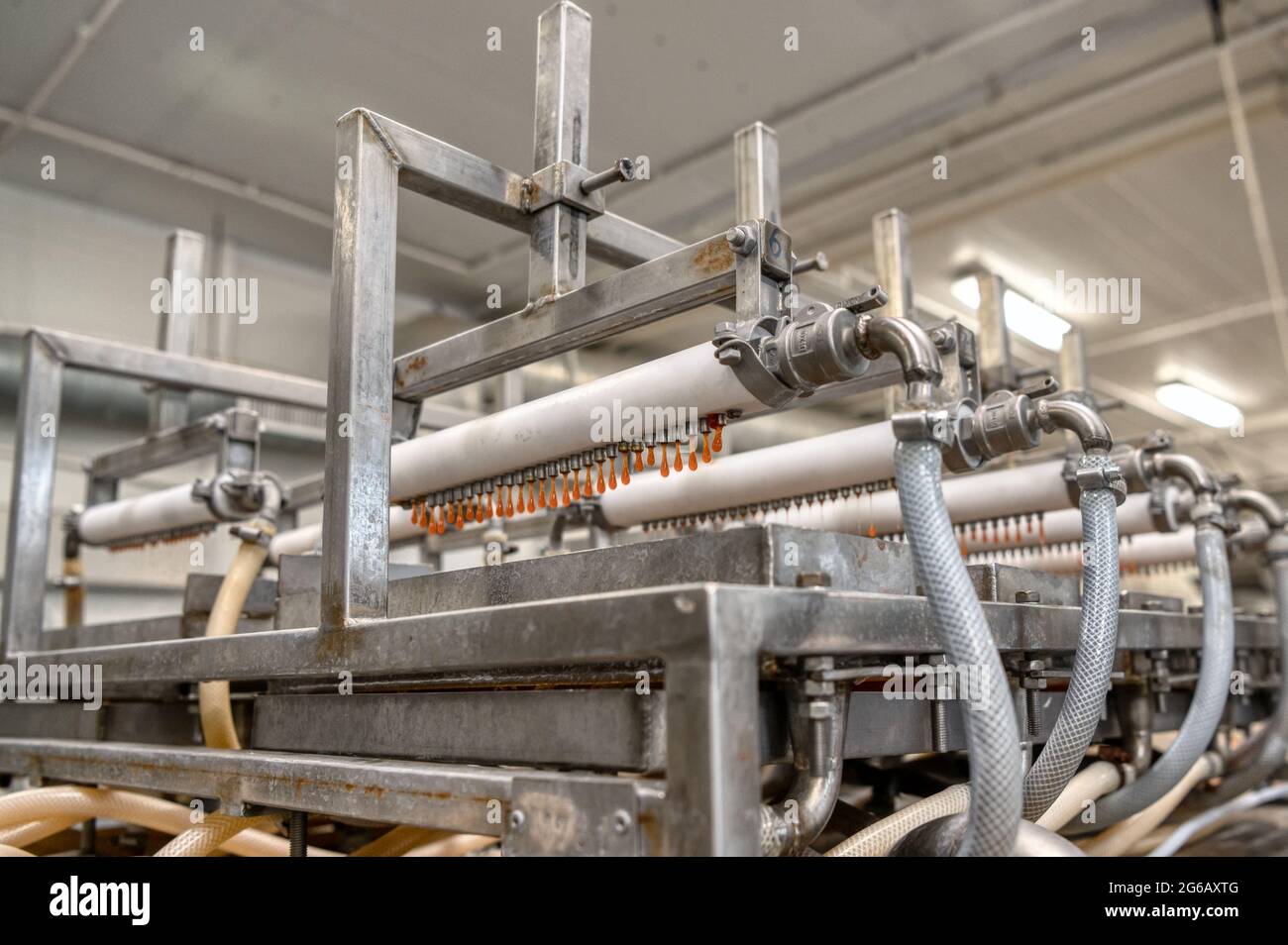 Artificial fish food hi-res stock photography and images - Alamy