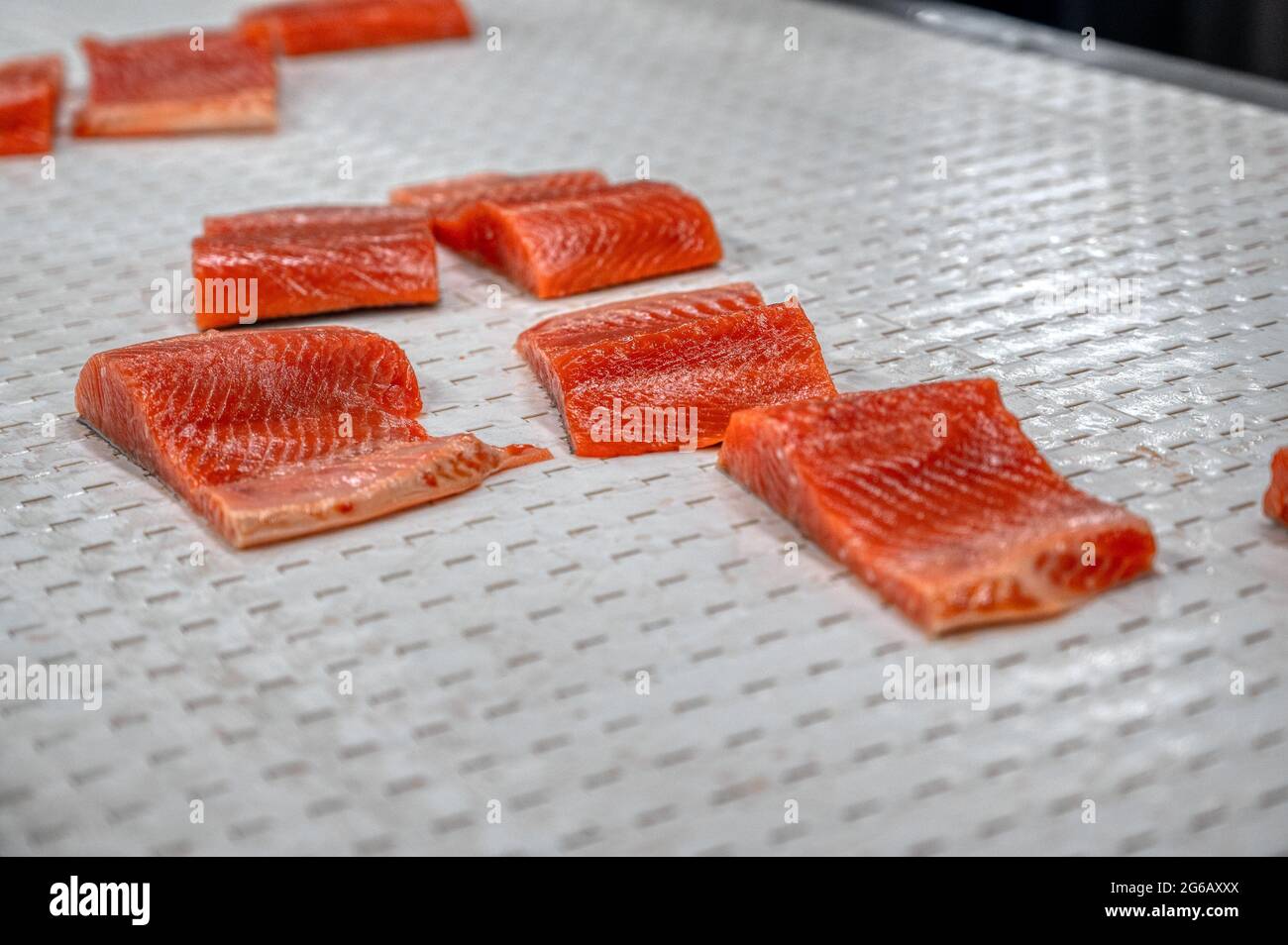 Metal conveyor processing hi-res stock photography and images - Alamy