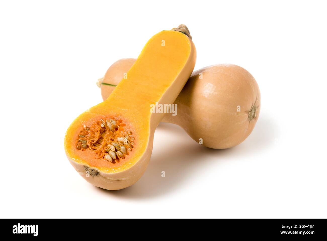 fresh butternut squash isolated over white background Stock Photo - Alamy