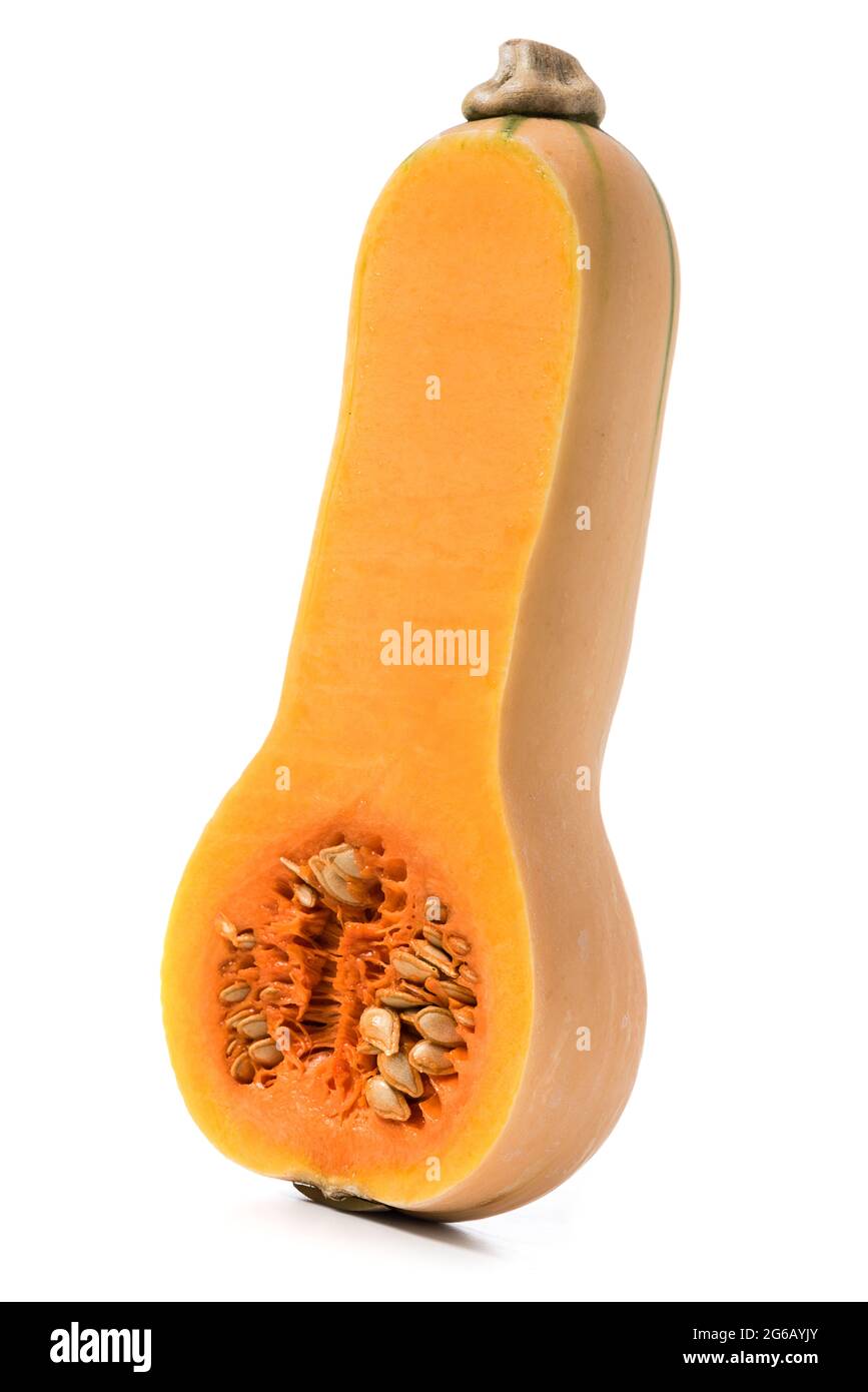 fresh butternut squash isolated over white background Stock Photo - Alamy