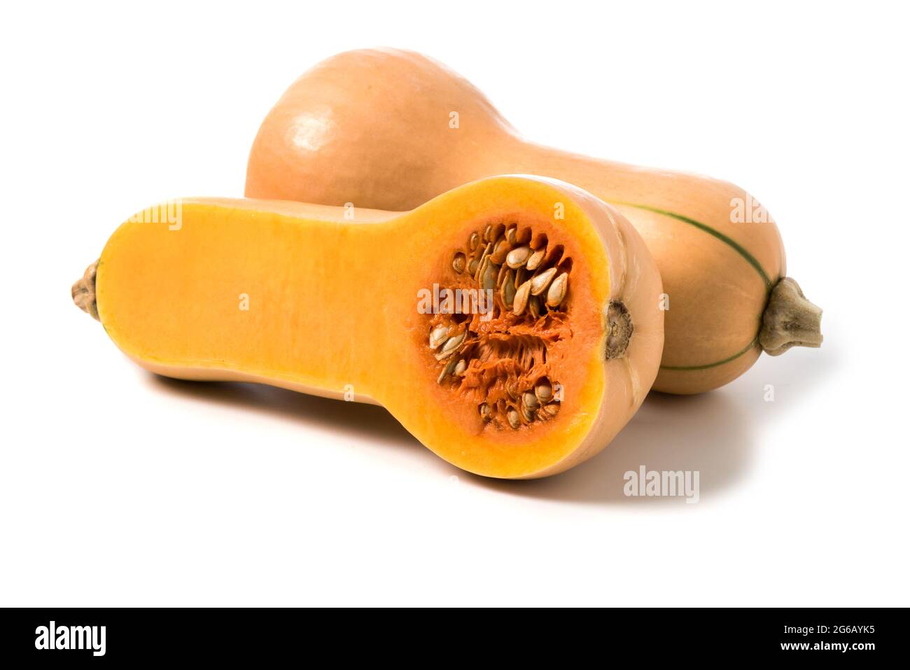 fresh butternut squash isolated over white background Stock Photo - Alamy