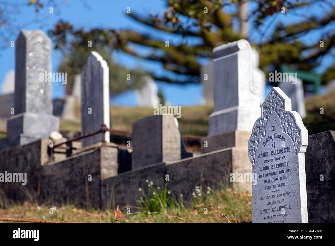 Memorial to nelson hi-res stock photography and images - Alamy