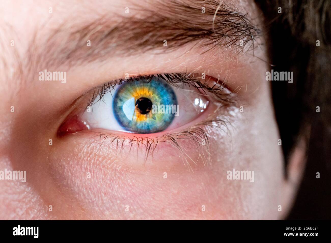 close up red eye of the mad and angry male Stock Photo - Alamy