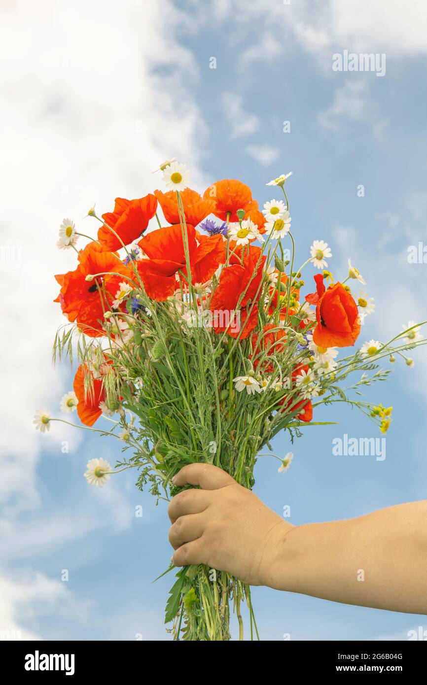 Hand bouquet of flowers hi-res stock photography and images - Alamy