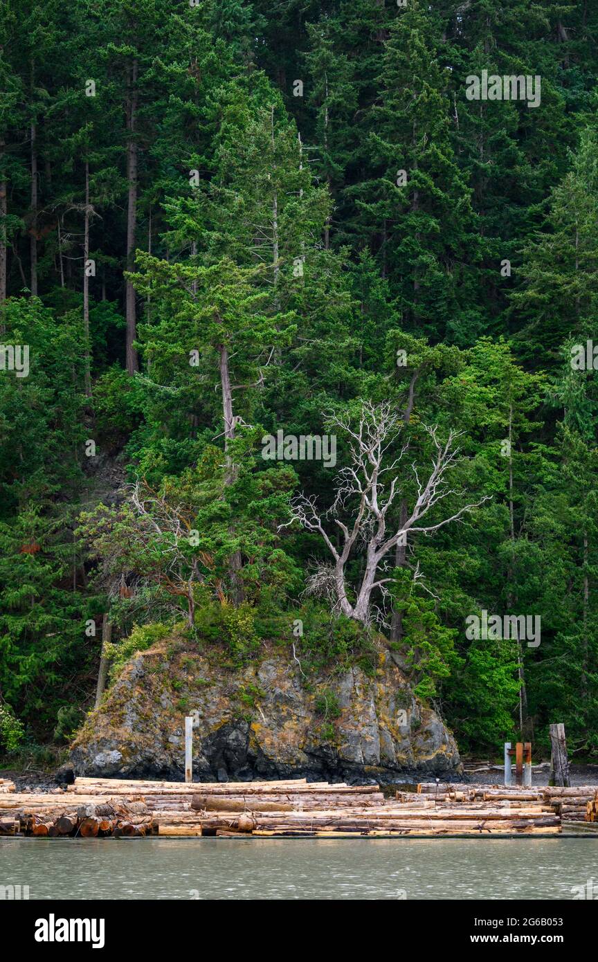 Goat island in the San Juan Islands, beautiful trees and coastline as a ...