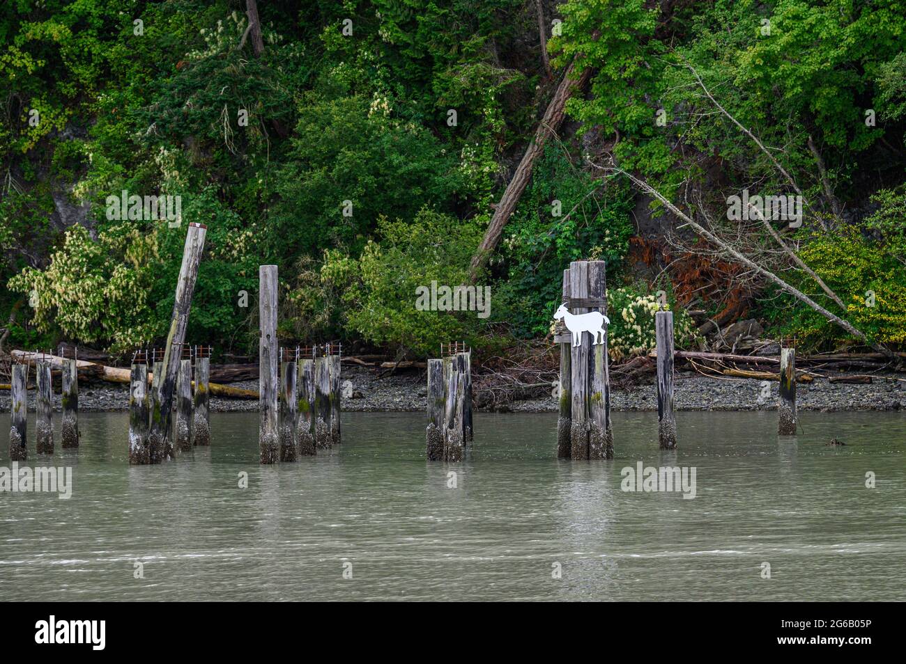 Goat island in the San Juan Islands, beautiful trees and coastline as a ...